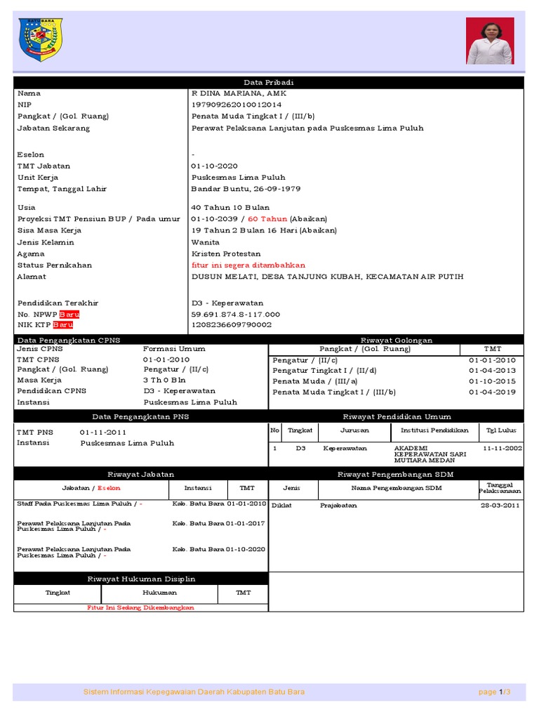 Contoh Profil ASN | PDF