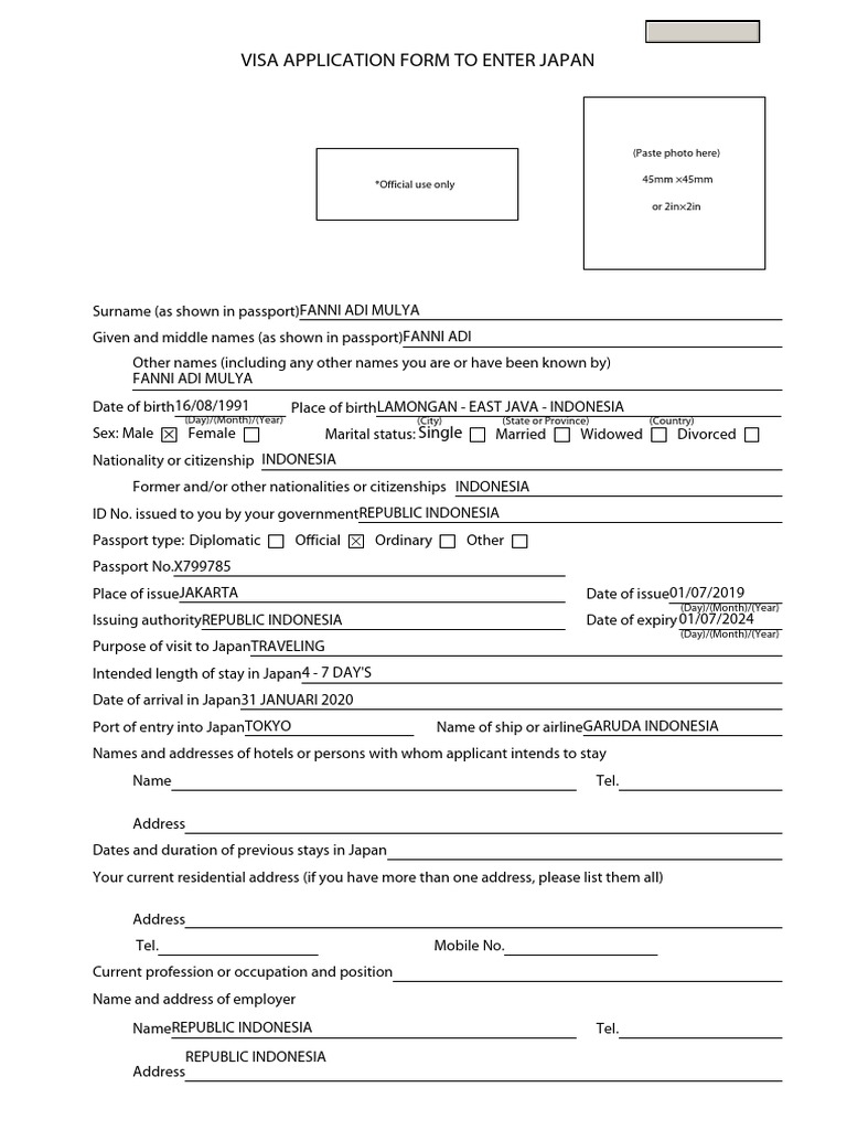 Visa Application Form To Enter Japan: Single | PDF | Travel Visa | Prostitution