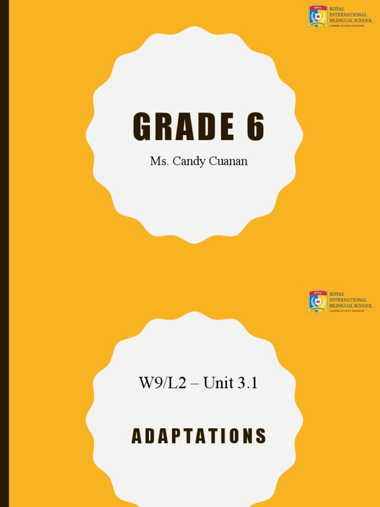 G6 Science - U3 - Living Things in Their Environment | PDF | Ozone ...