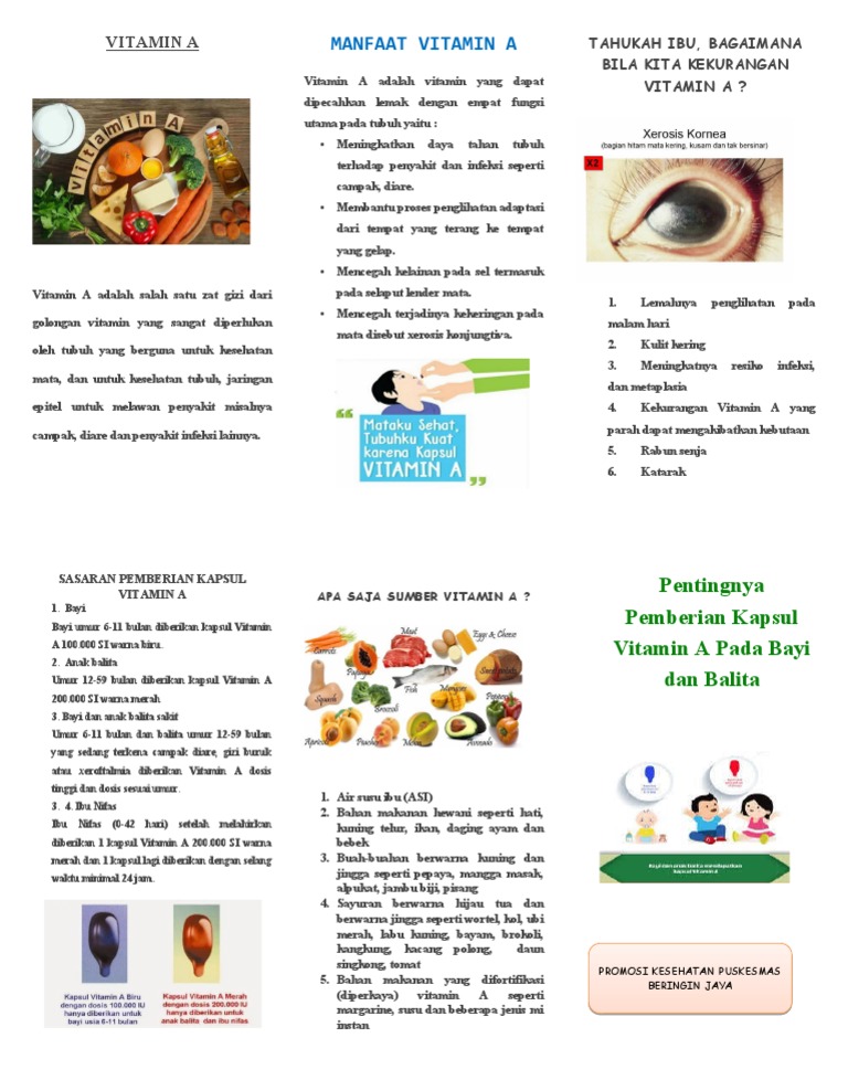Leaflet Vitamin A | PDF