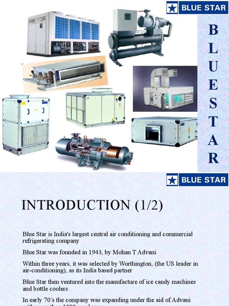 Blue Star | PDF | Business