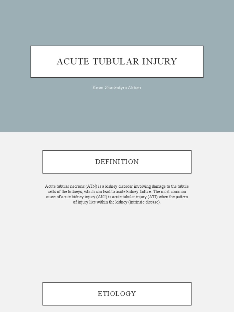 Acute Tubular Injury | PDF | Kidney | Endocrine System