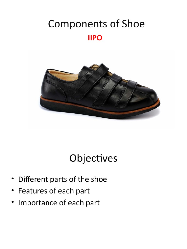 Components of Shoe | PDF | Shoe | Foot