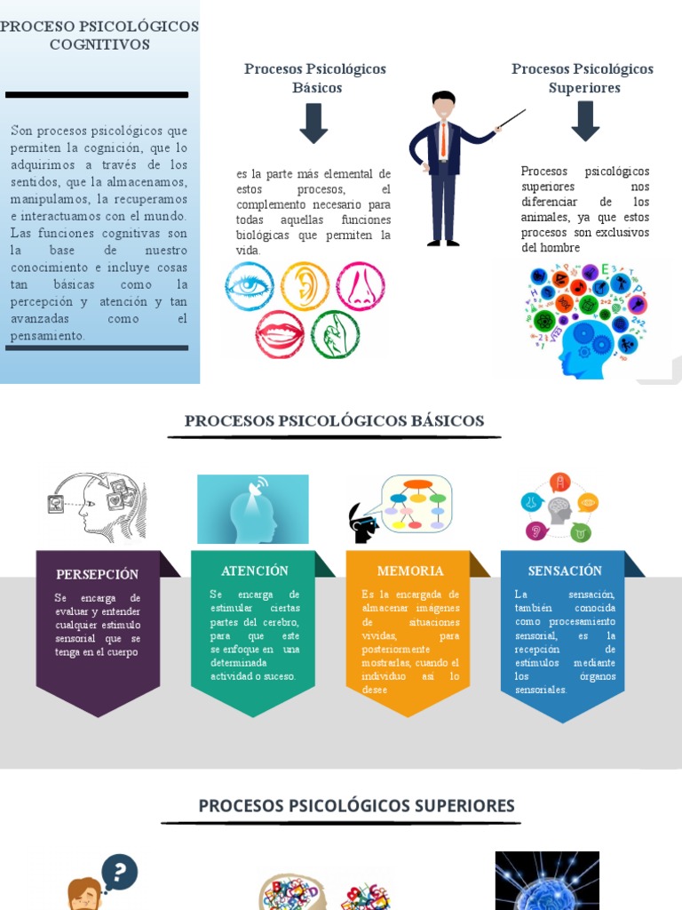 Procesos Psicológicos | PDF | Sentidos | Sicología