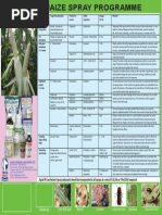 Spray Programme For Tomatoes and Peppers: Control 70DF Before Sowing ...