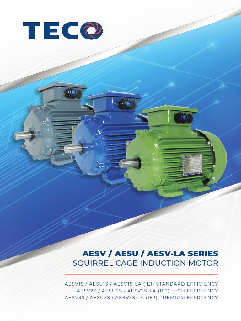 TECO AESV Series Induction Motors Overview | PDF | Electric Motor ...