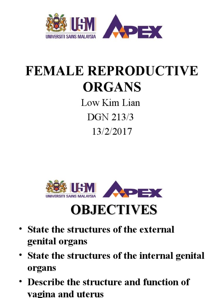 Anatomy of Female Reproductive Organs | PDF | Uterus | Vagina