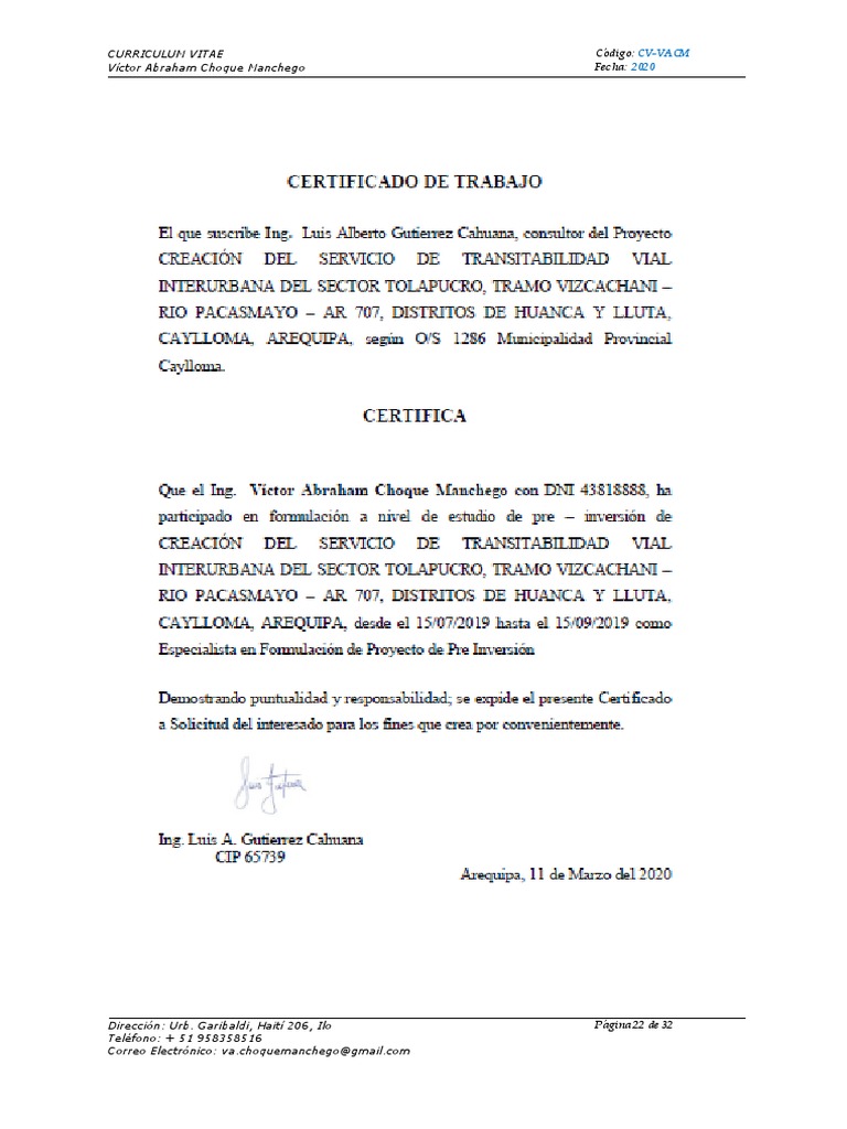 Curriculum Vitae Víctor Choque 2020 | PDF