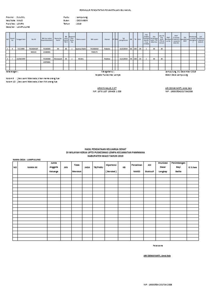 Lap Bumil K1, PIS PK, Rekam Medik | PDF