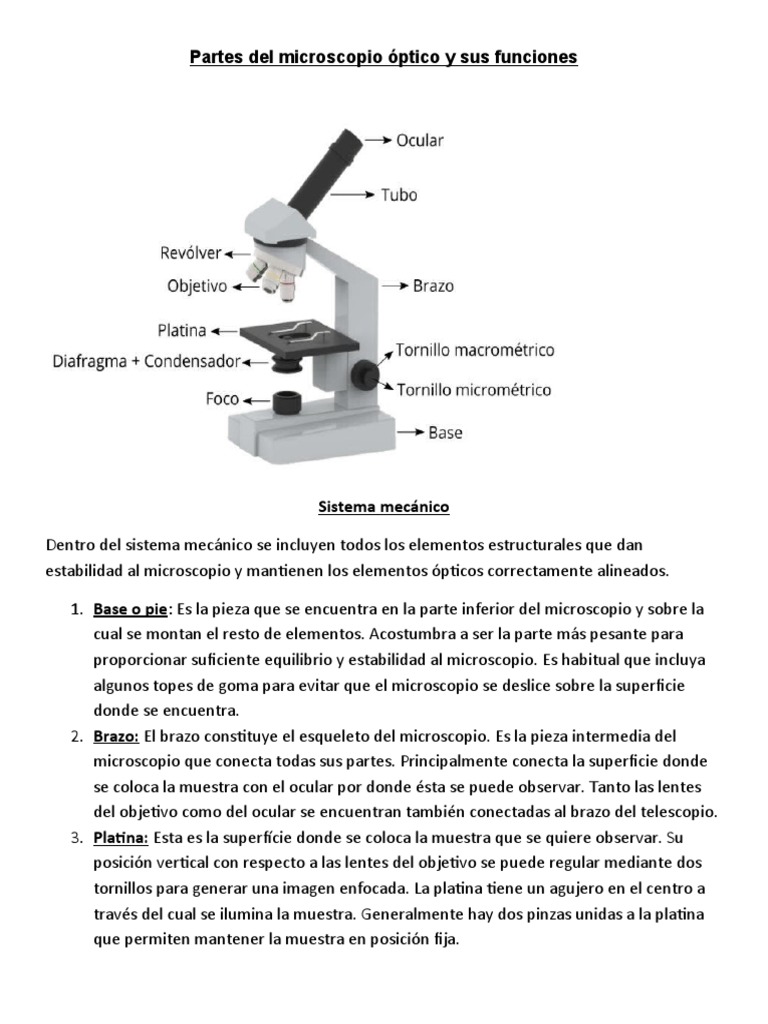 Partes Del Microscopio Óptico y Sus Funciones | PDF | Lente de la ...