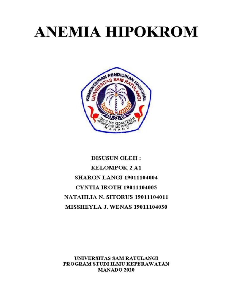 Anemia Hipokrom: Konsep dan Asuhan | PDF