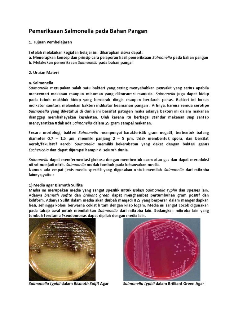 DETEKSI SALMONELLA PADA BAHAN PANGAN | PDF