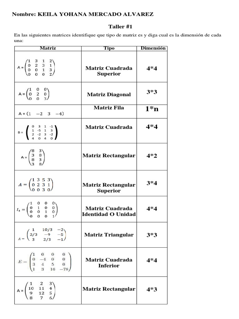 Tipos y Dimensiones de Matrices | PDF