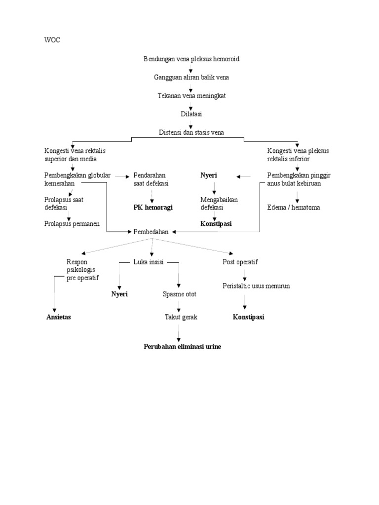 Gejala dan Penanganan Hemoroid | PDF