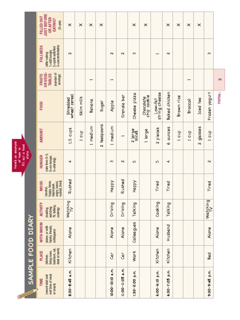Sample Food Diary Template | PDF | Cooking | Foods