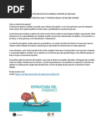 El Ahogado Más Hermoso Del Mundo | PDF