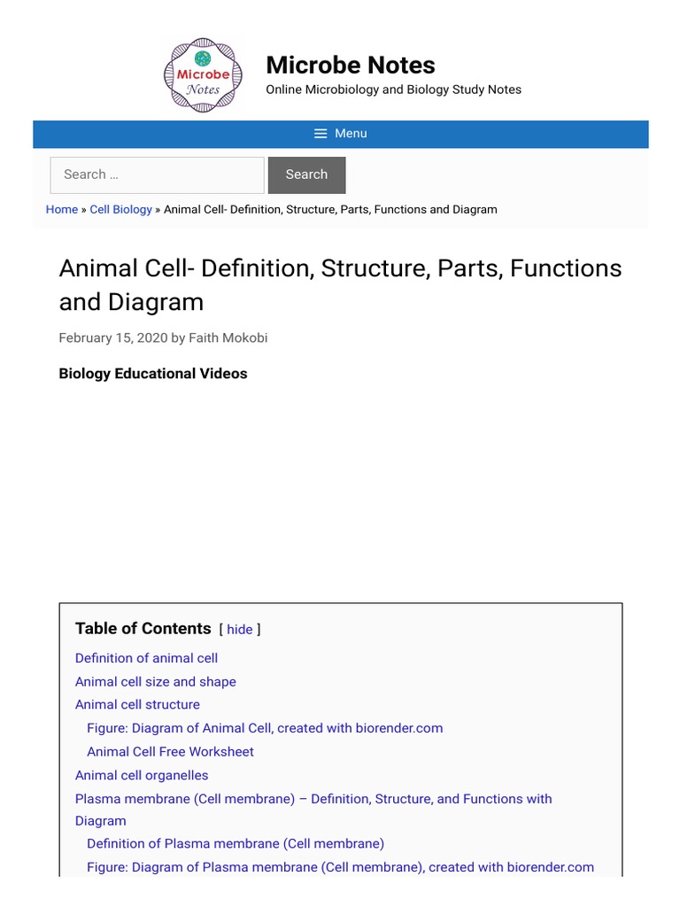 Animal Cell - Definition, Structure, Parts, Functio | PDF | Endoplasmic ...