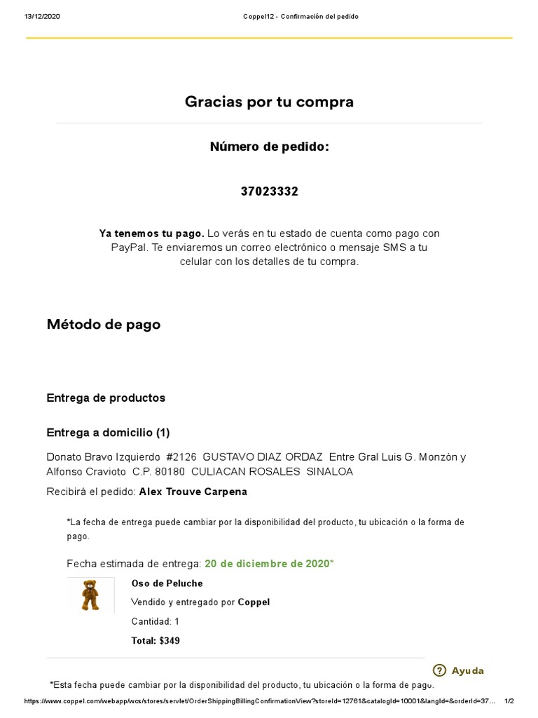 Osito Peluche Sofi | PDF | Business | Science