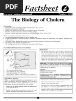 AQA A-level Biology: Haemoglobin Worksheet | PDF | Hemoglobin | Oxygen