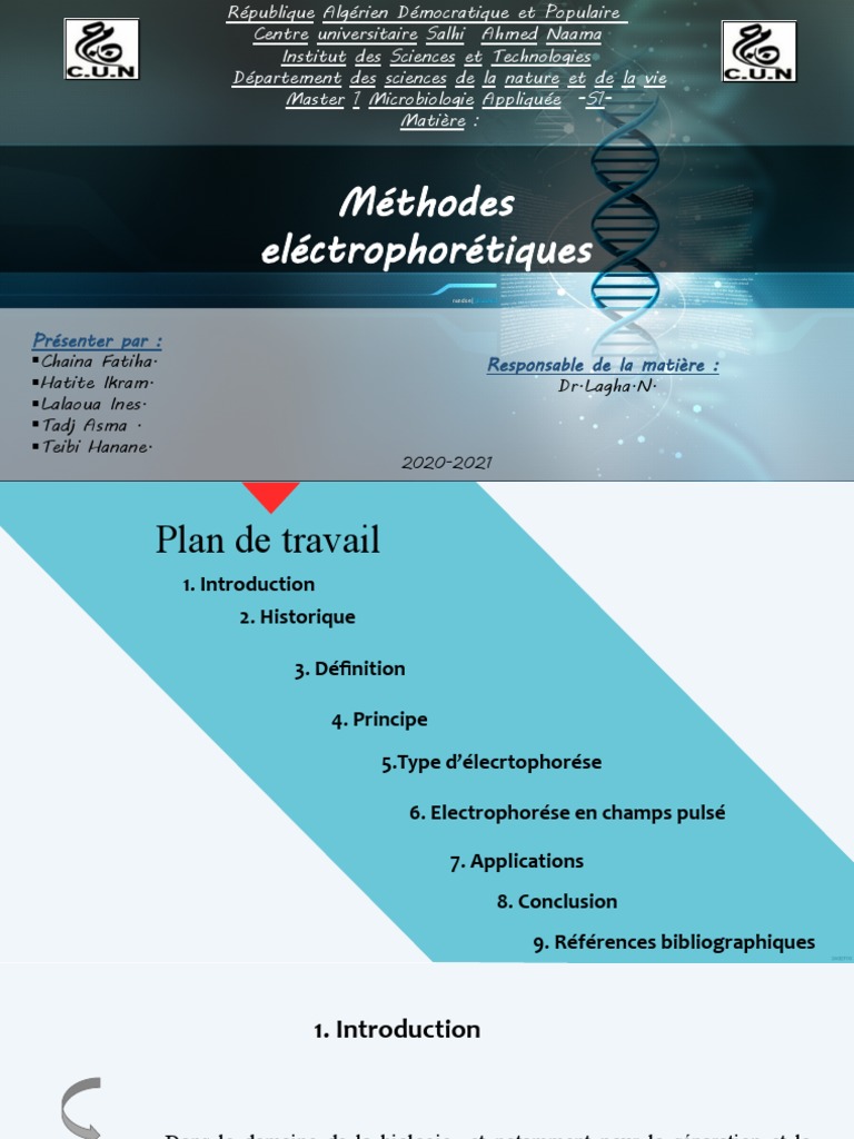 Electrophorese en champ pulsé | PDF | Électrophorèse | ADN