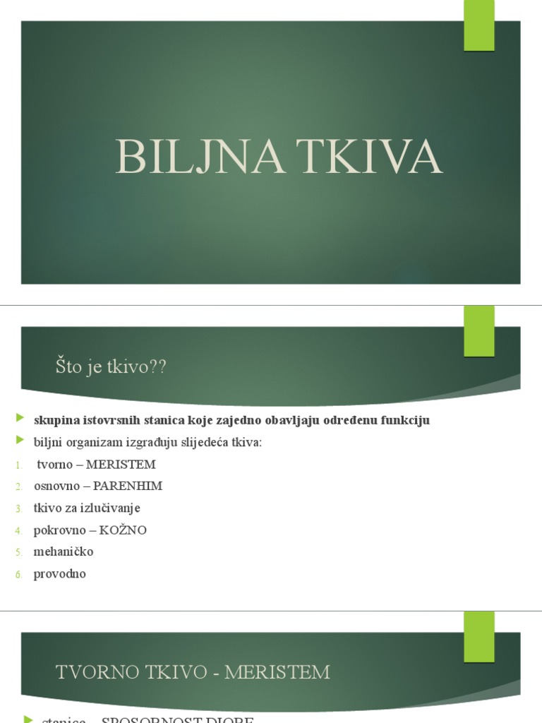 Biljna Tkiva | PDF
