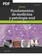 Teoría de La Matriz Funcional de Melvin Moss | PDF | Cráneo | Ortodoncia