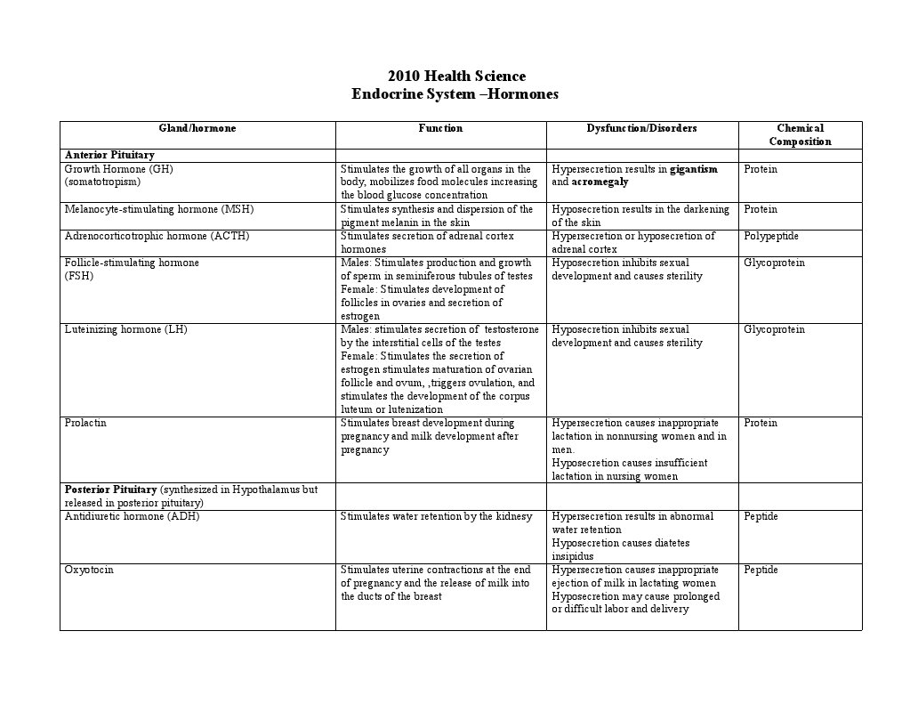 2010 Endocrine System Chart | PDF | Adrenal Gland | Luteinizing Hormone