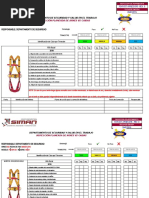 Check List Arnés | PDF