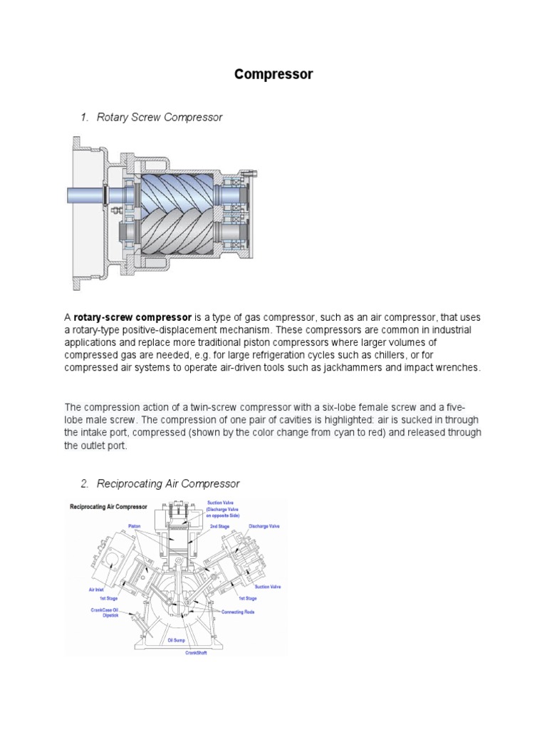 Rotary Screw Compressor | PDF