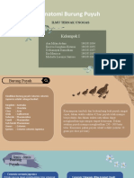 LAPRAK Morfologi Dan Anatomi Ayam | PDF