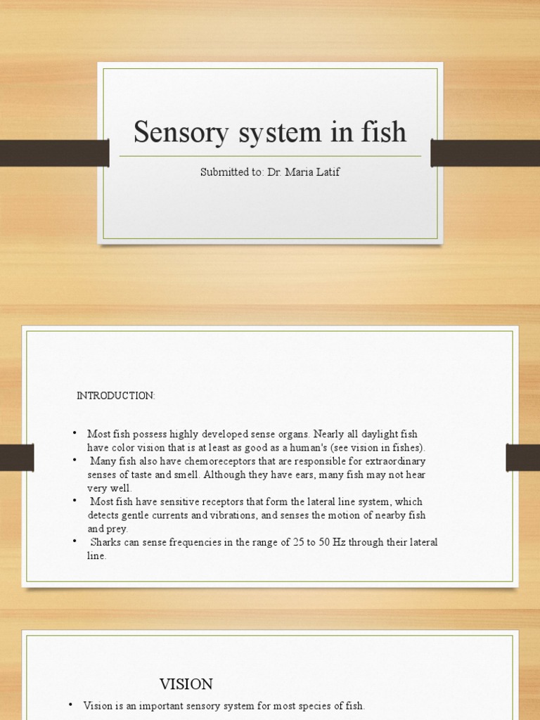 Sensory System in Fish | PDF | Fish | Senses