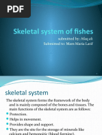 Physical Exam Positions Guide | PDF | Human Leg | Anatomical Terms Of ...