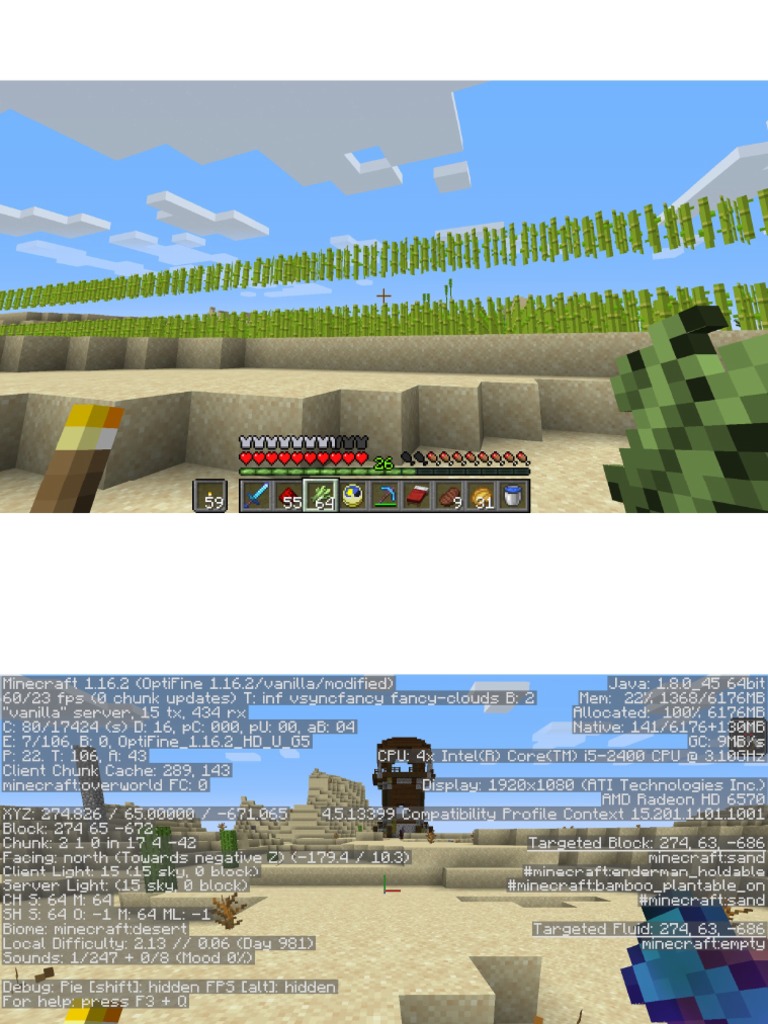 My First Minecraft Screenshots | PDF