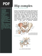 Sciatica Printable PDF | PDF | Diseases And Disorders | Human Anatomy