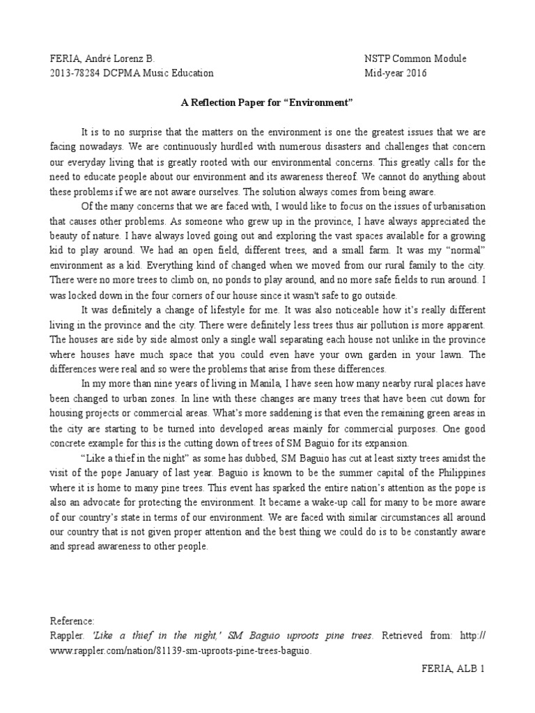 Reflection Paper 9 Environment | PDF | Natural Environment | Environment