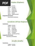 Latin Names of Various Animals | PDF | Panthera