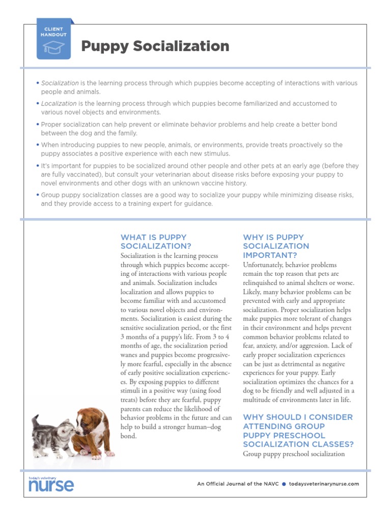 TVN 2020 Puppy Socialization - Handout | PDF | Dogs | Socialization