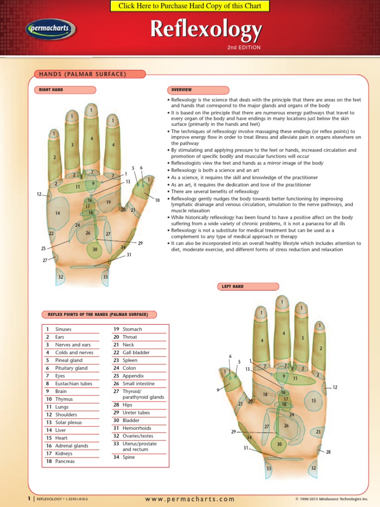 Reflexology | PDF | Reflexology | Massage