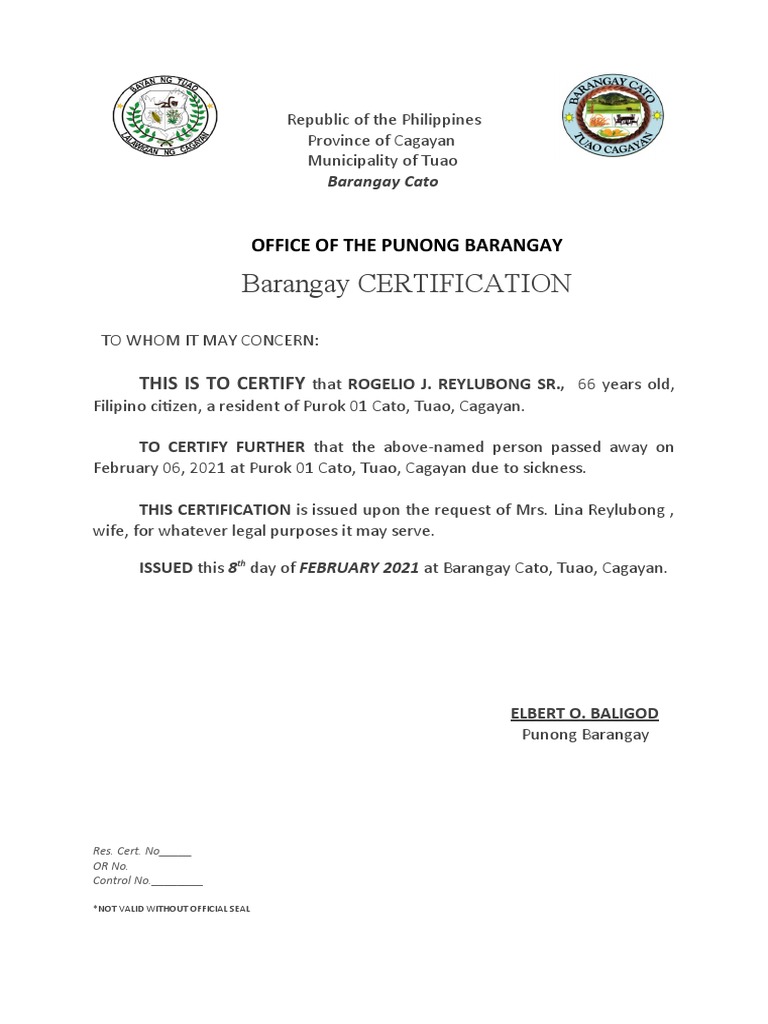 Barangay Certification: Office of The Punong Barangay | PDF