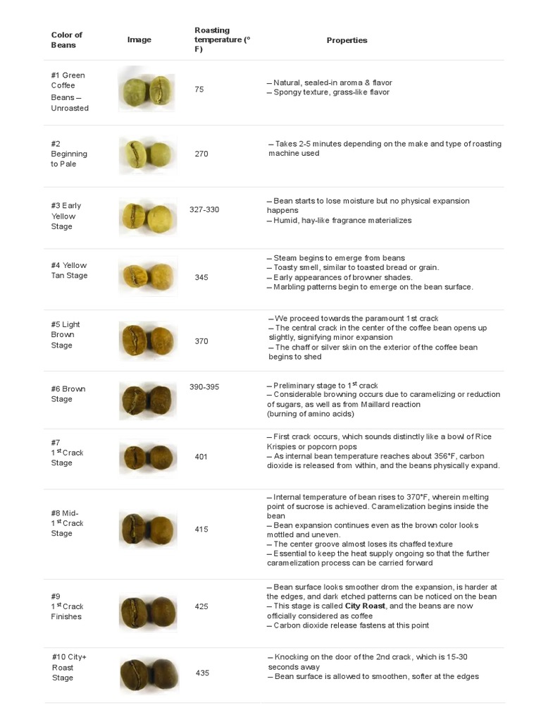 Coffee Bean Color and Roast Stages | PDF | Food Industry | Food And Drink