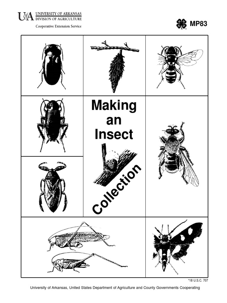 Insect Collecting | PDF | Insects | Arthropods