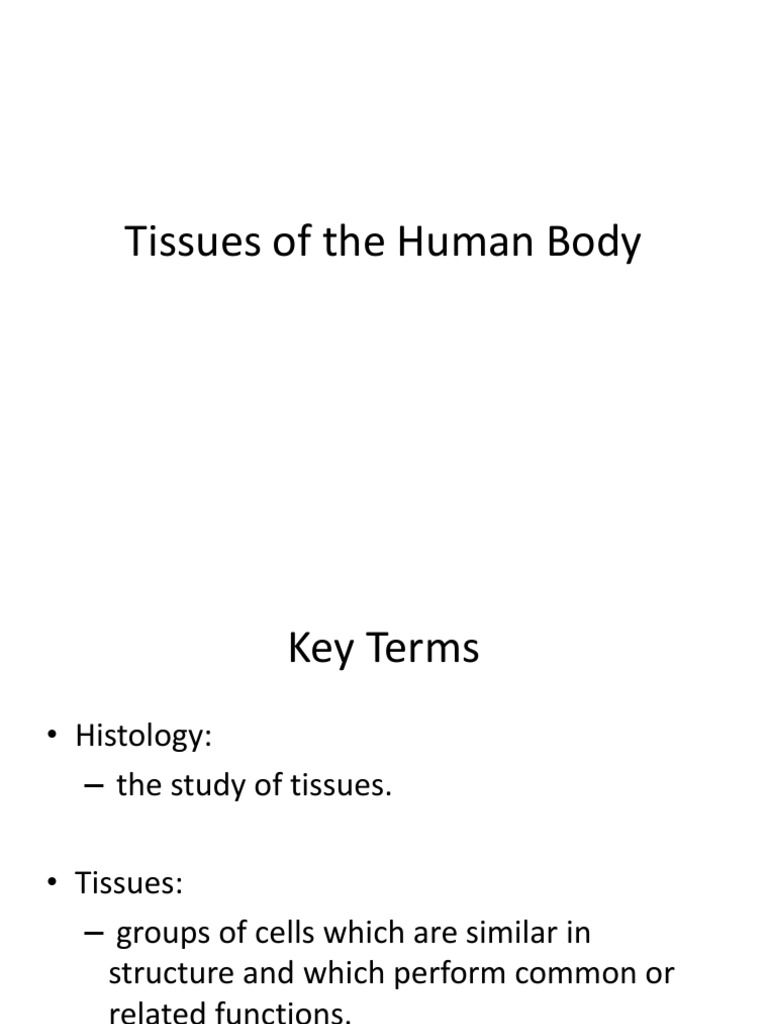 Tissues of The Human Body | PDF | Epithelium | Connective Tissue