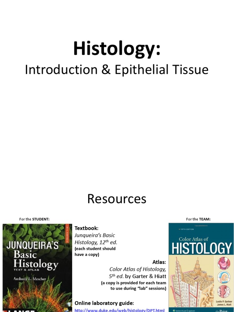 Introduction Epithelial Tissue | PDF | Epithelium | Staining