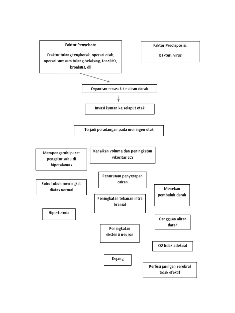 Pathway Meningitis | PDF