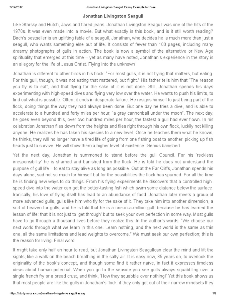 Jonathan Livingston Seagull Essay Example For Free | PDF