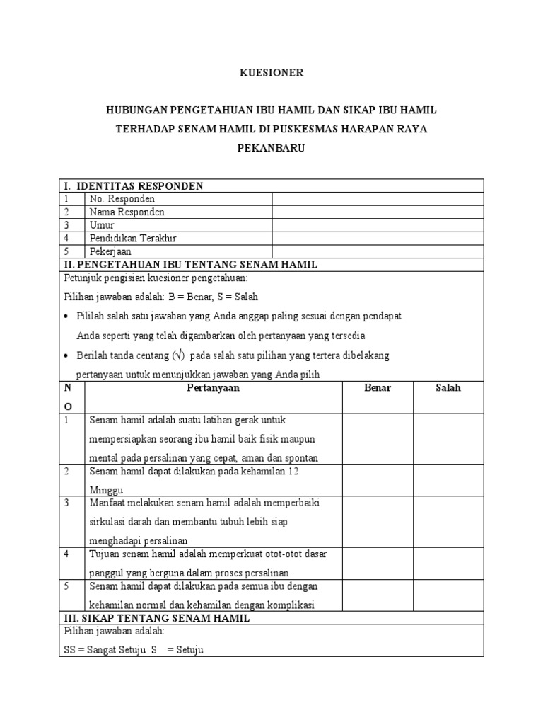 Kuesioner Survey Awal | PDF