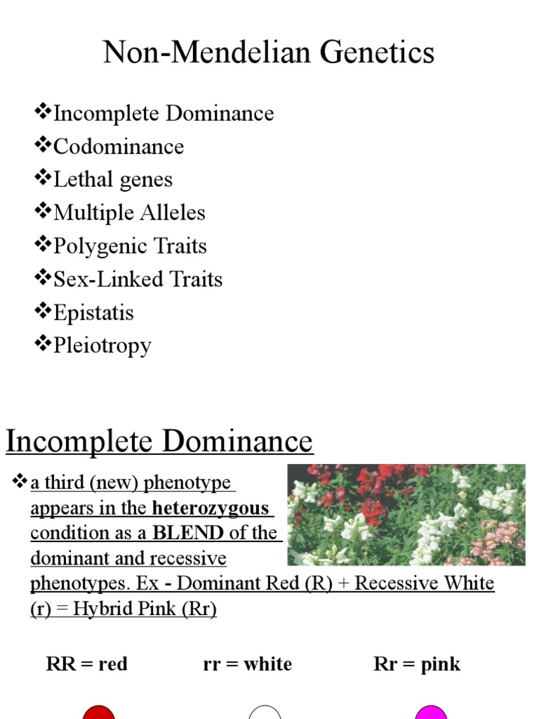 Non Mendelian Genetics | PDF | Dominance (Genetics) | Allele