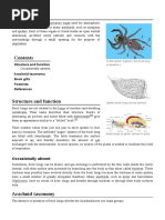 Preferred Practice Patterns: APTA Guide To Physical Therapy Practice ...