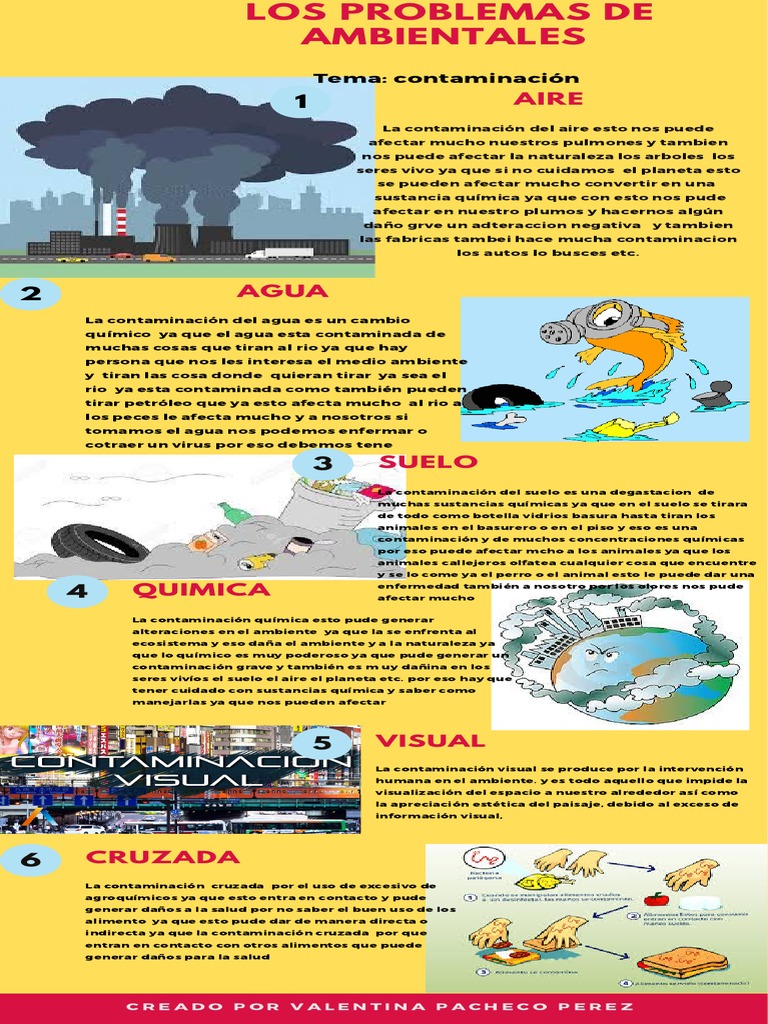 Infografia de Problemas Ambientales | PDF | Contaminación | Entorno natural