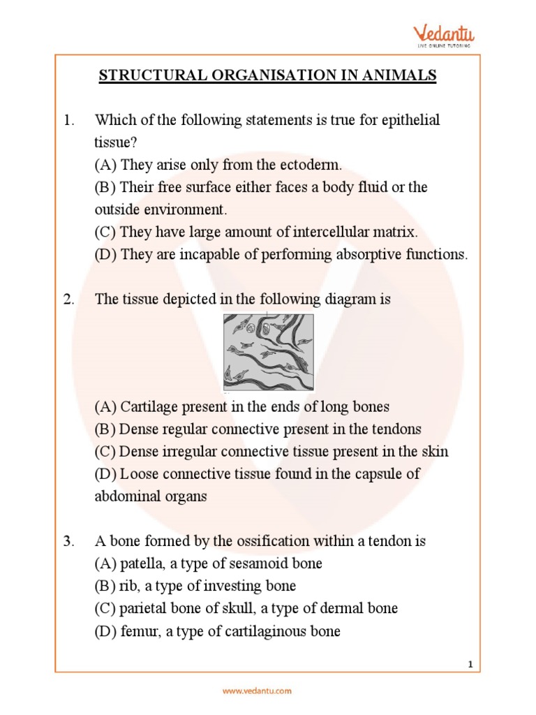 Neet Structural Organisation in Animals Important Questions | PDF ...